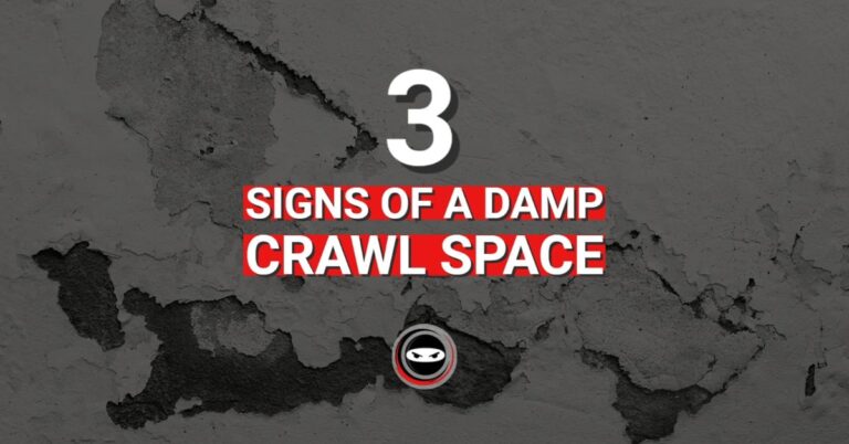 What Damp Crawl Space Signs are Seen in the Living Space?