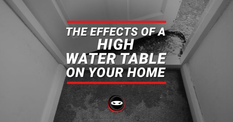 Effect of High Water Table on Your Home | Crawl Space Ninja
