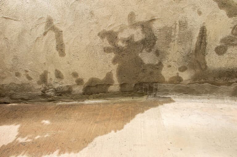 Why Water Is Coming in Your Basement Where the Walls Meet the Floor